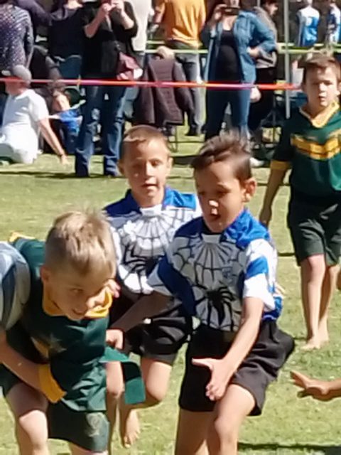 Galery | Laerskool Elspark